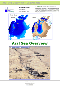 Central Asian Consulting Company